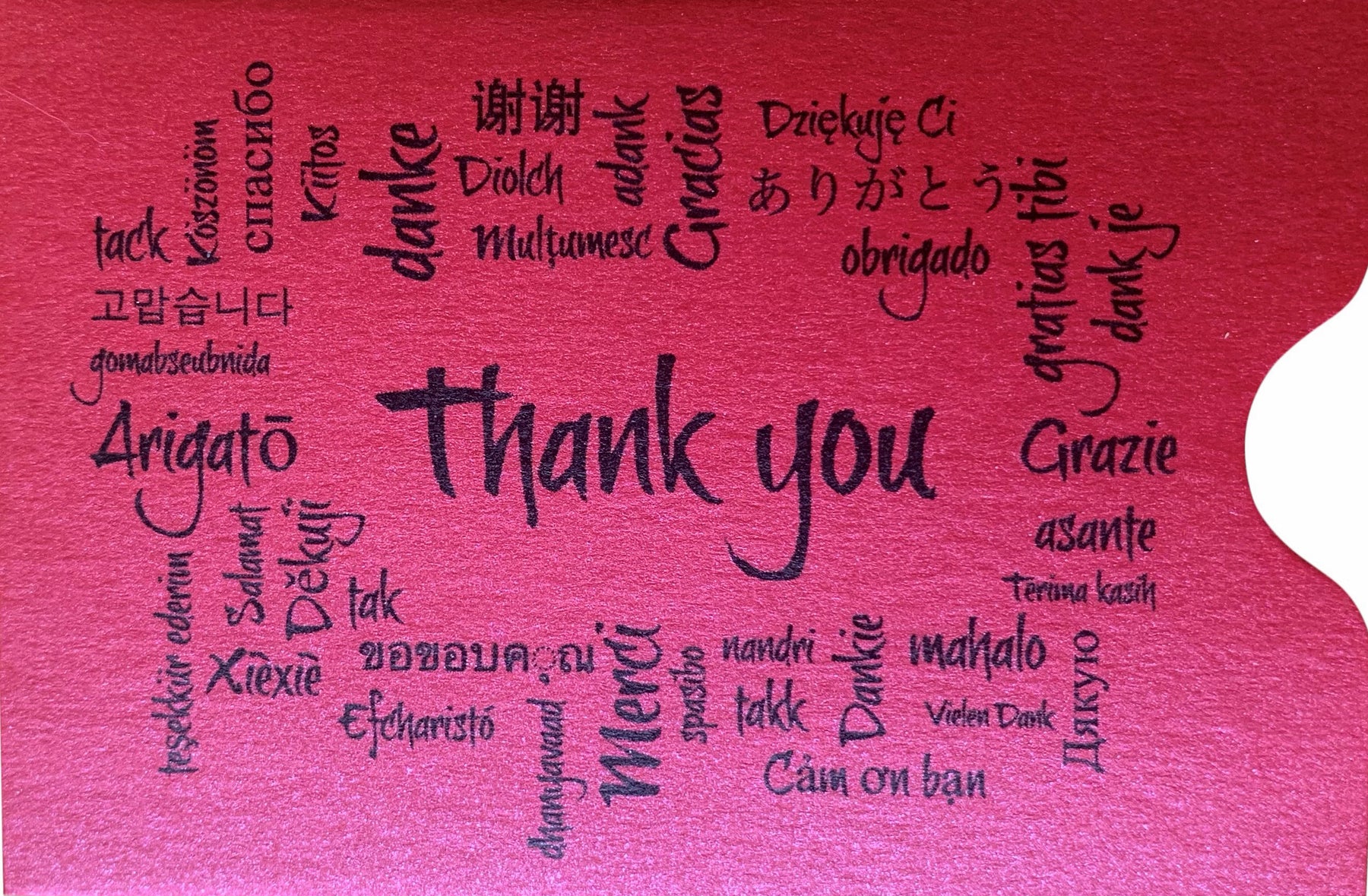 Gratuity Envelopes - Multilingual Thank you – Tip Slips